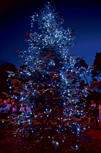 DTi_02 - Kaiserslautern American