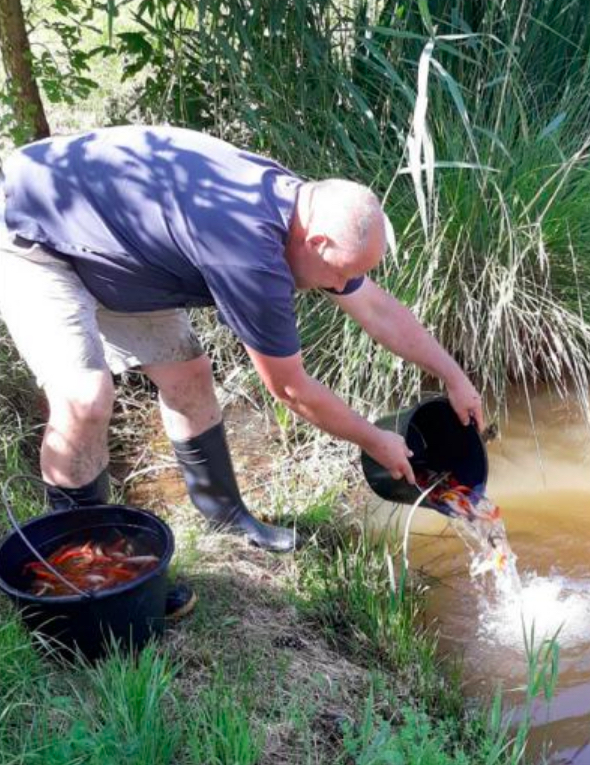 Garrison rescues thousands of goldfish found living at military wash ...