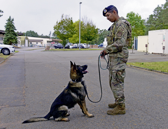 Upgraded kennel brings MWDs home - Kaiserslautern American