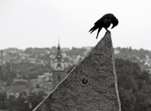 Haunted Germany: Ghosts, spirits, legends - Kaiserslautern American